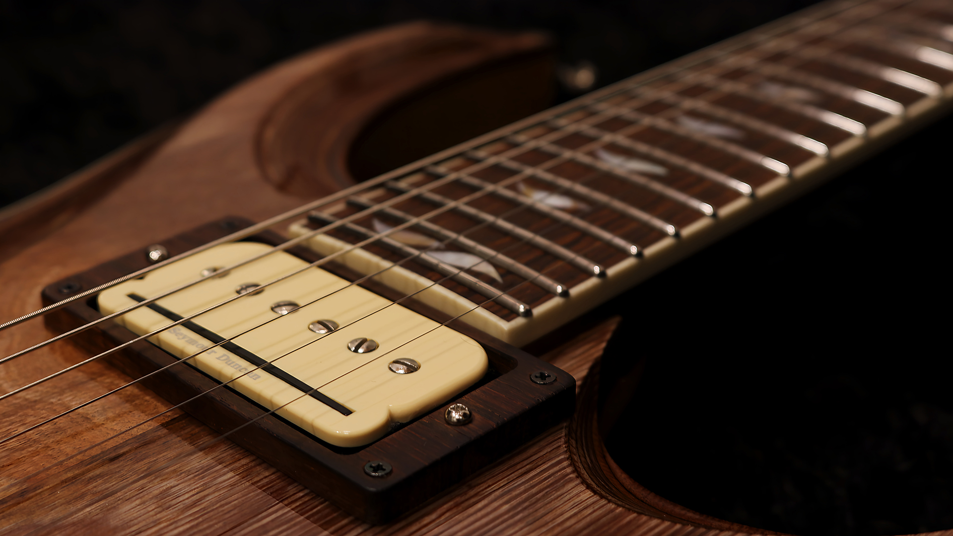 Custom Guitar Gallery - R-Go Instruments
