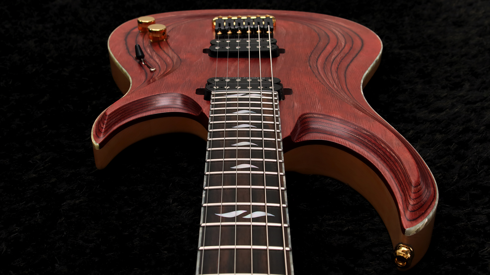 Custom Guitar Gallery - R-Go Instruments